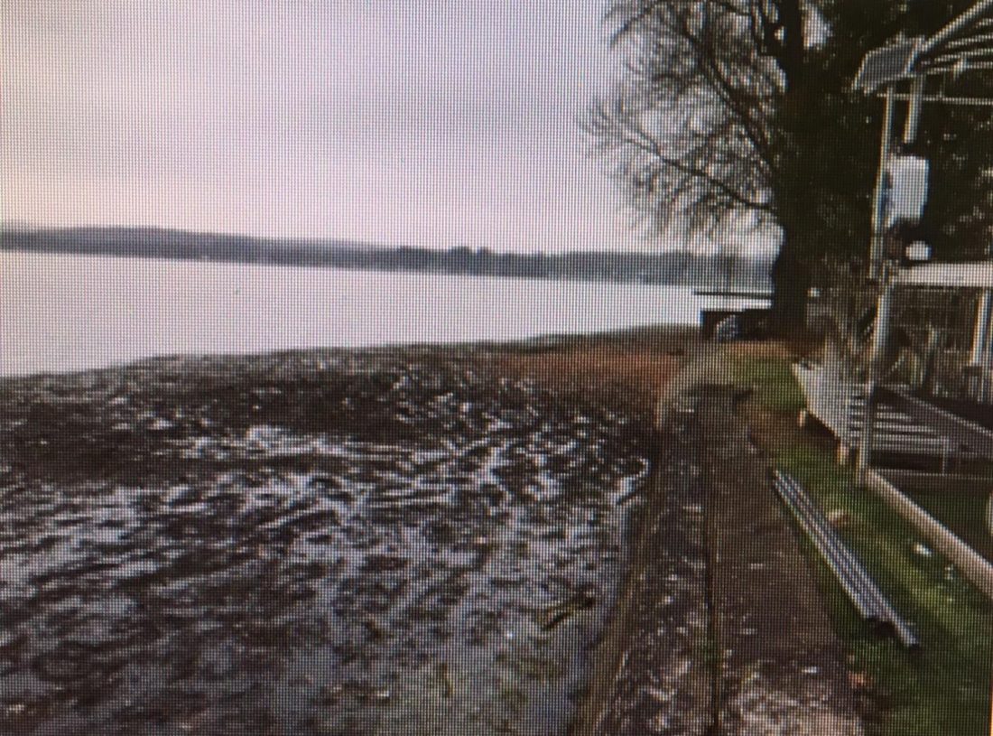 Clean-Up of Burtis Bay anticipated to take place this week | News ...